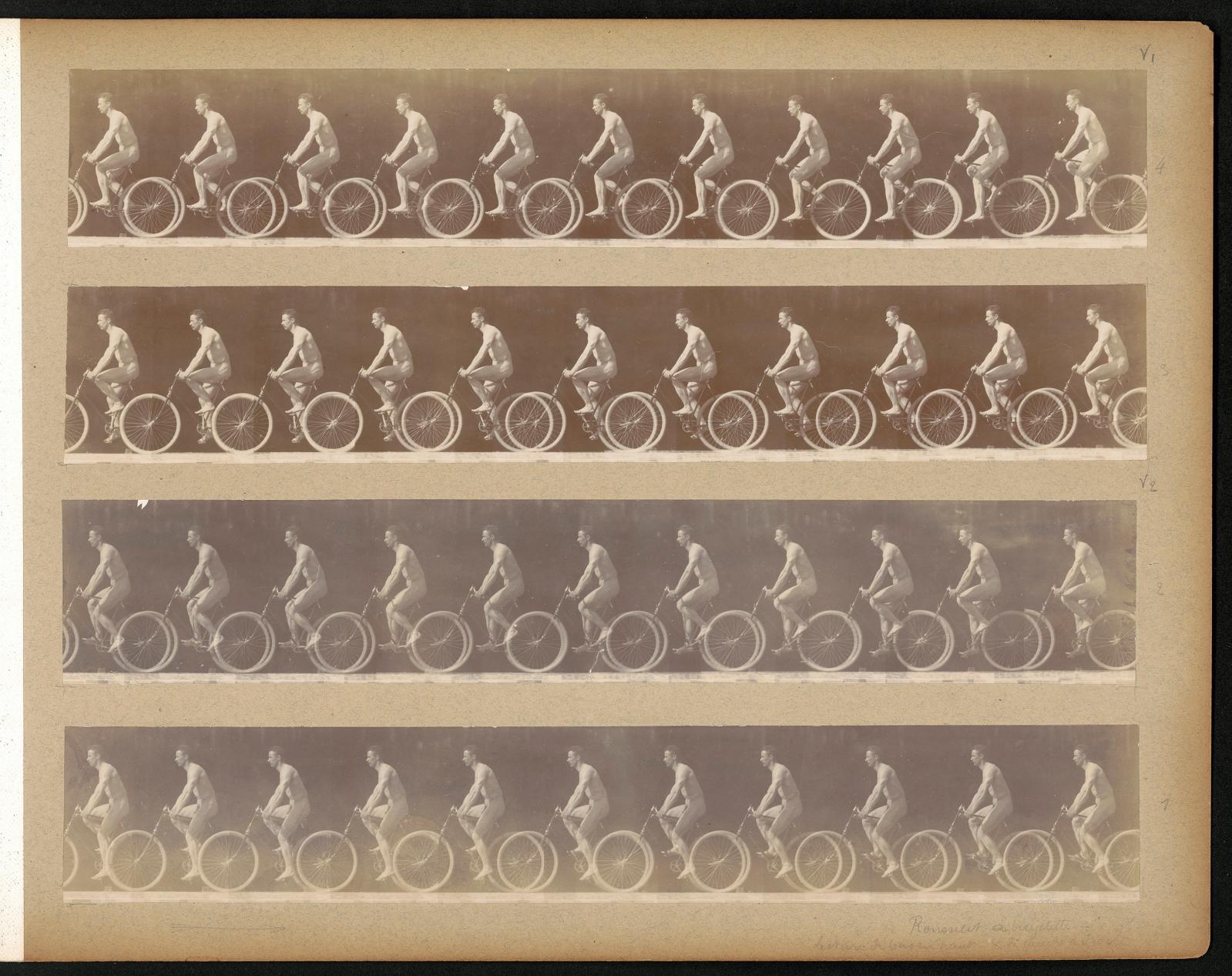 Retrospective: "Étienne-Jules Marey:... | Gazette Drouot